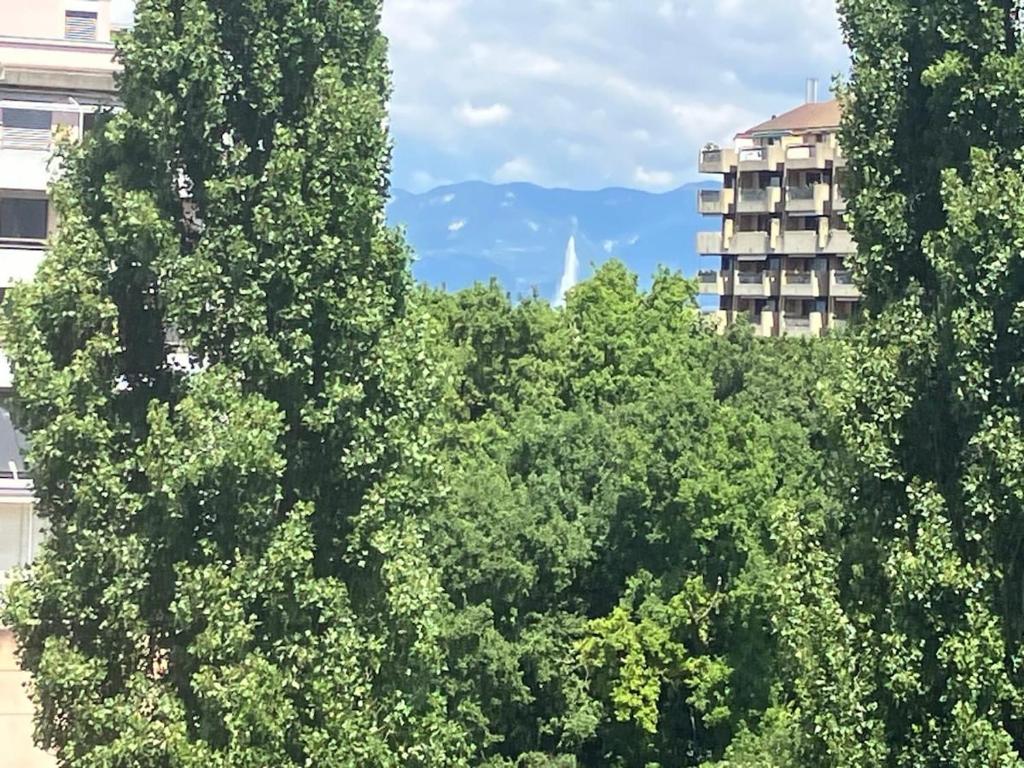 Amazing views modern flat Geneva, Champel, Geneva (updated prices 2026)