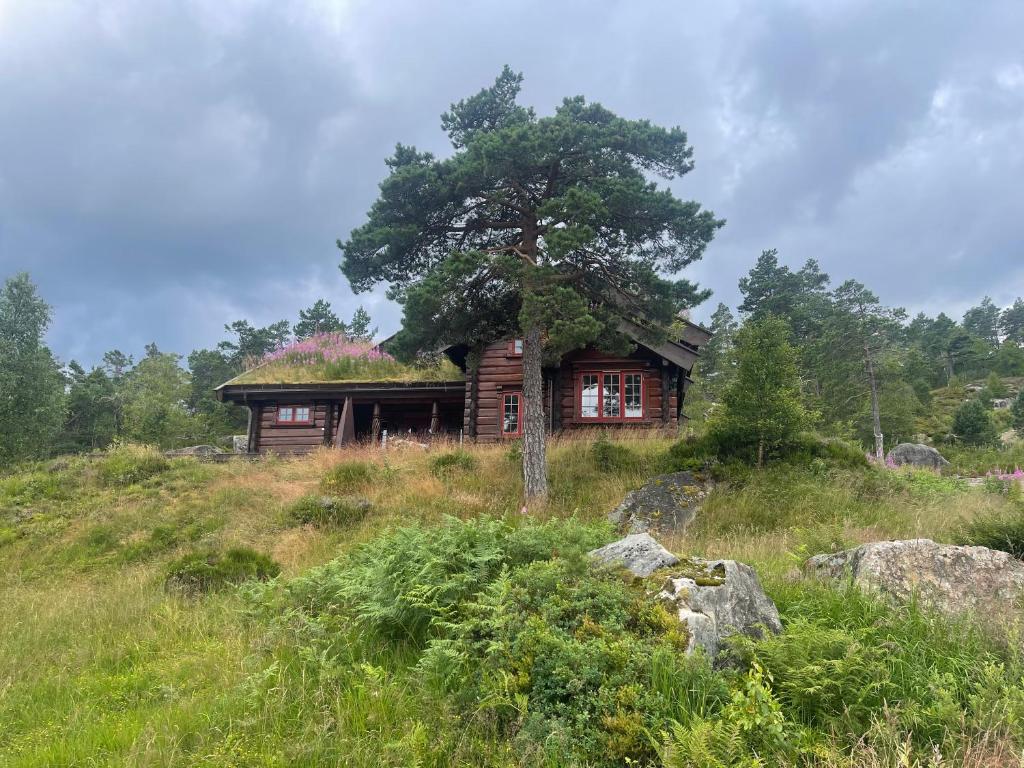 Karíbu-Welcome, Øyuvstad (updated prices 2025)