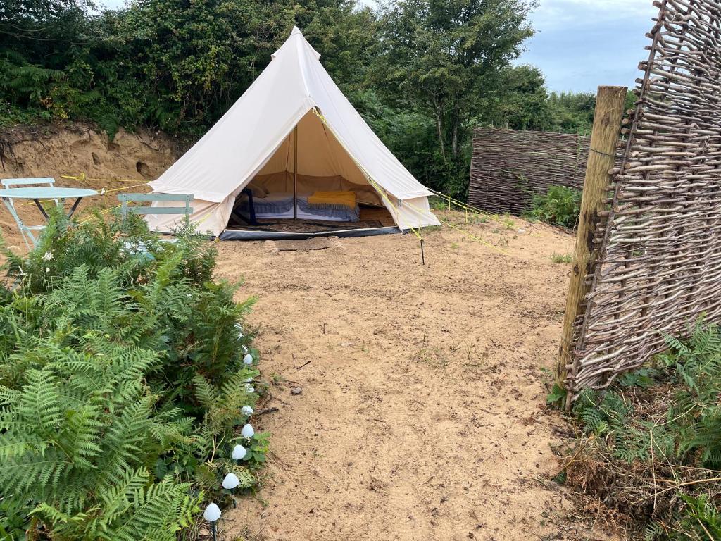 Cae Cynffig Camping, Kenfig (updated prices 2025)