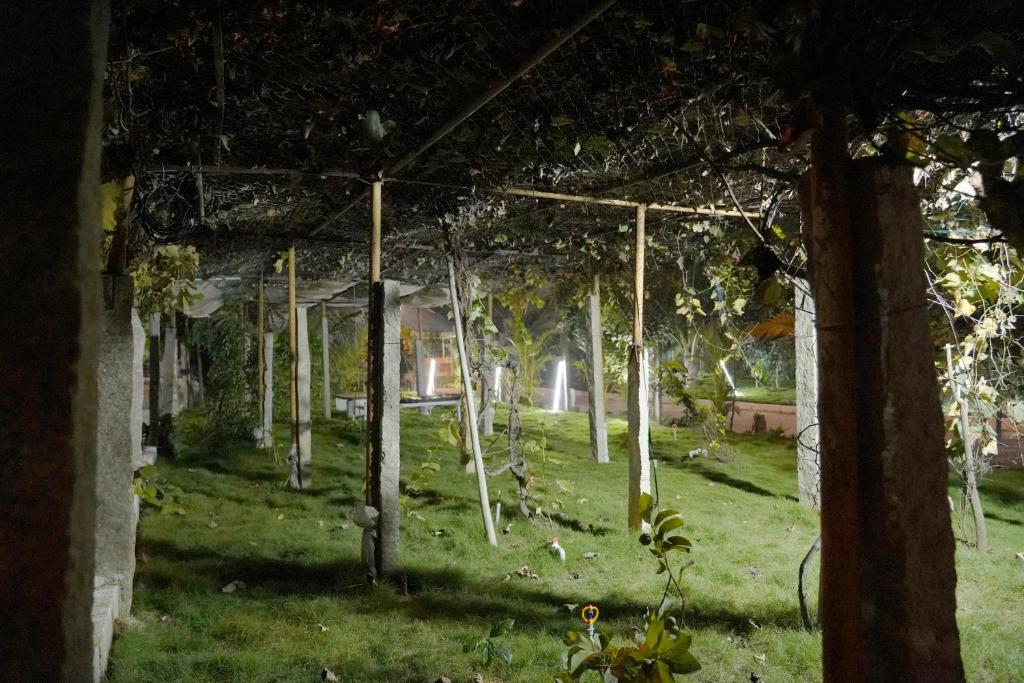 Solace by JNS Farms, Būdikote (updated prices 2025)