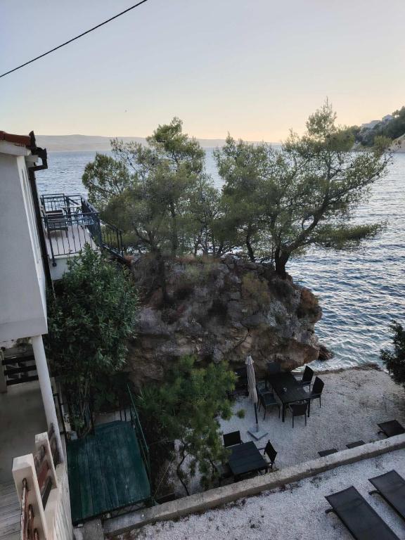 Ventula, Міміце (оновлені ціни 2025 року)