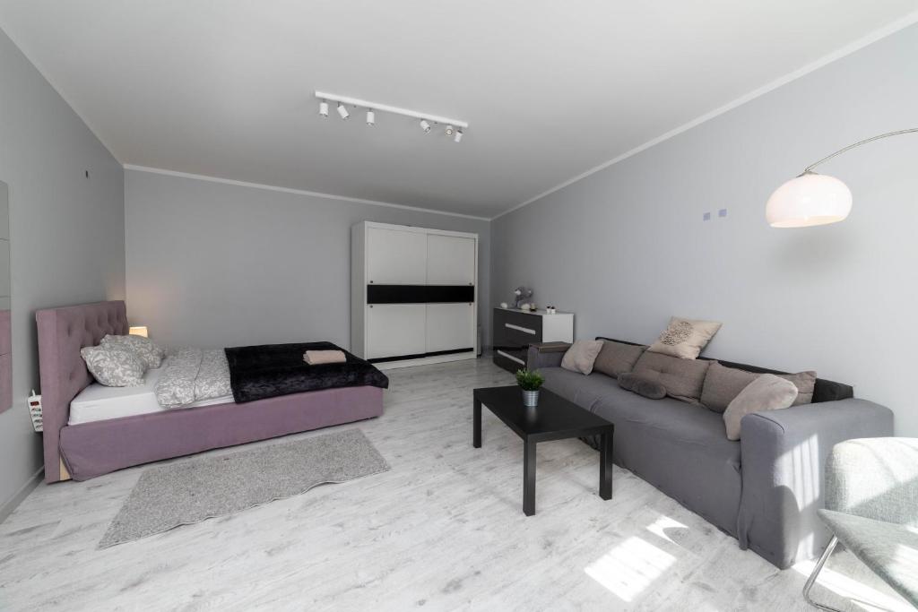 Dreamy Spot, Riga (precios actualizados 2025)