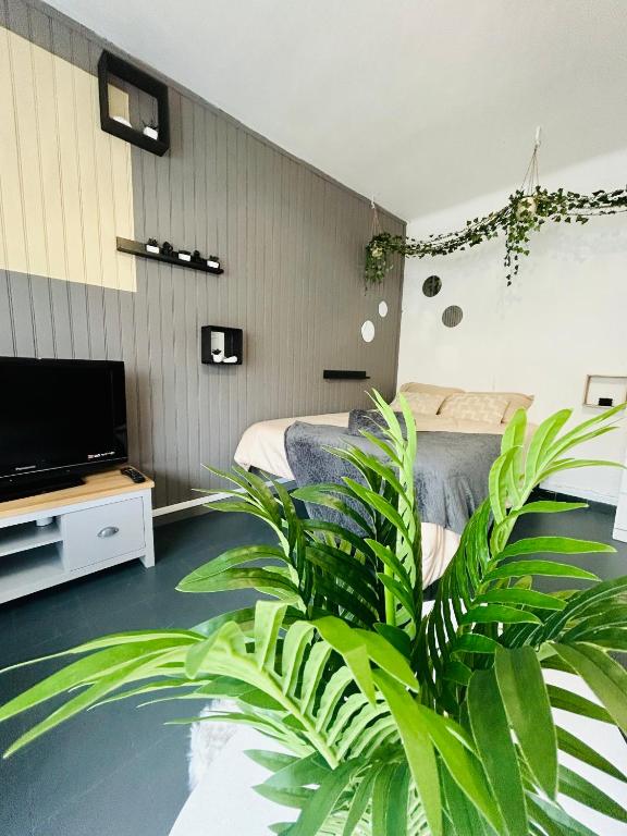 Cosy - Studio Plage & Soleil, Canet-en-Roussillon (precios actualizados ...