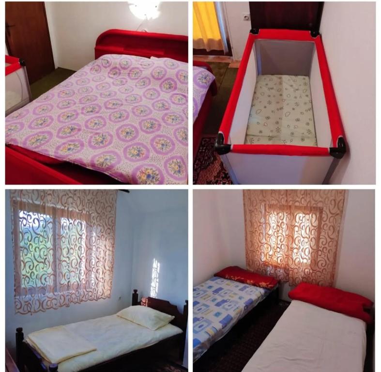 Mali Raj, Šavnik (preços atualizados para 2026)