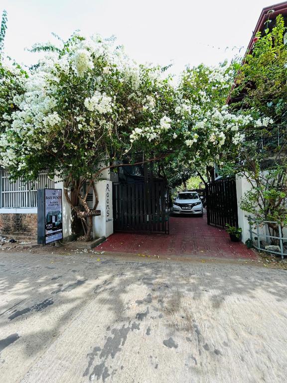 Bay Root Surf Resort, Аругам-Бей (актуальные цены 2025 года)