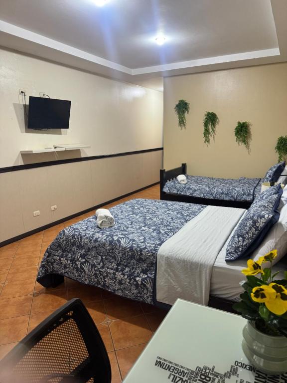 Nancy House, Alajuela (updated prices 2025)