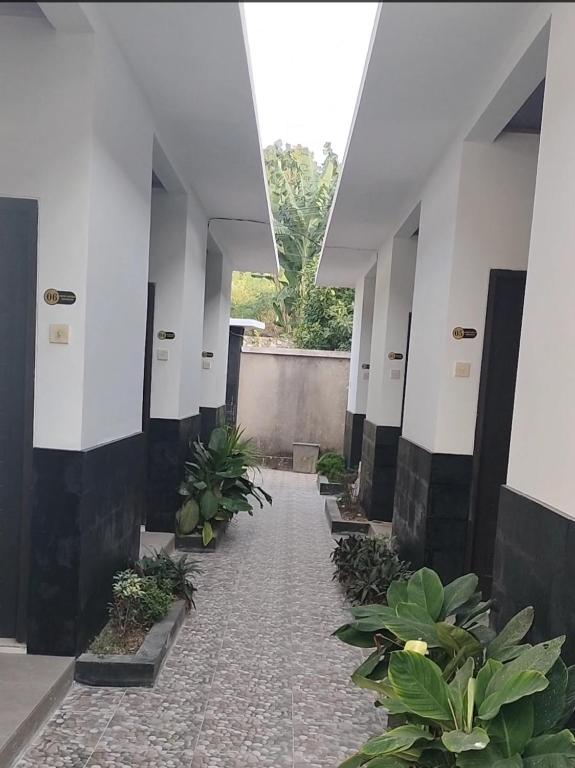 Made Krisna Homestay, Uluwatu (updated prices 2025)