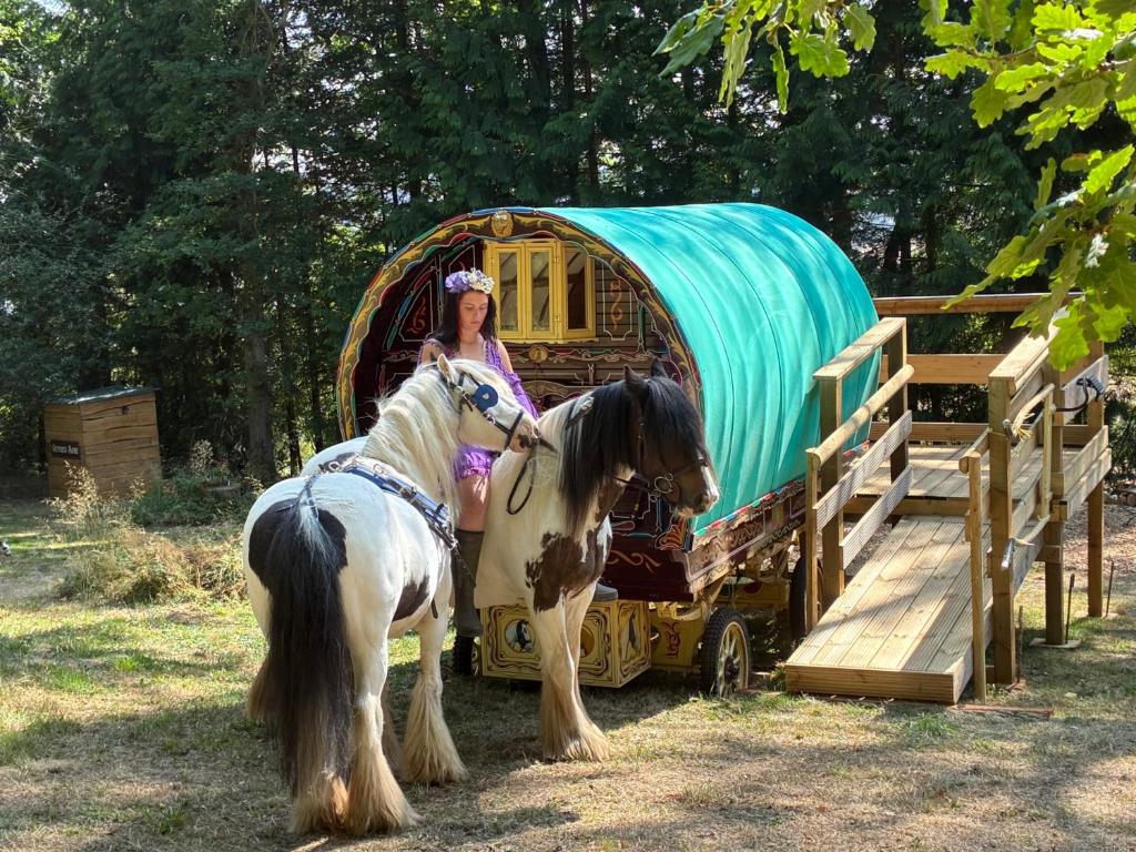 2 Guests - Pet Friendly - Traditional Gypsy Vardo, Longhope (updated ...