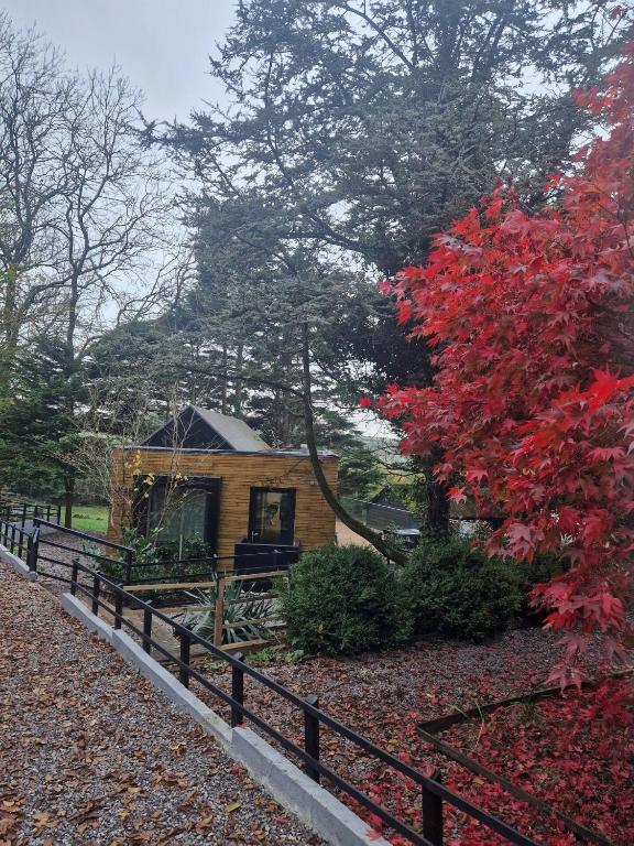 Ty Branwen- Luxury Woodland Lodge with Stunning Views, Cowbridge ...