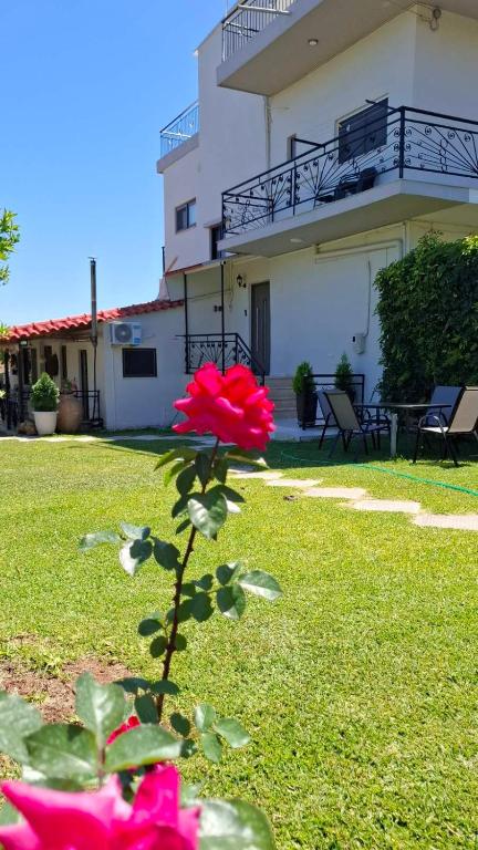 Nina's Cozy Home, Chrani (updated prices 2026)
