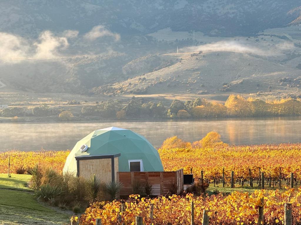 Glamping Dome - Rosé, Cromwell (updated prices 2026)