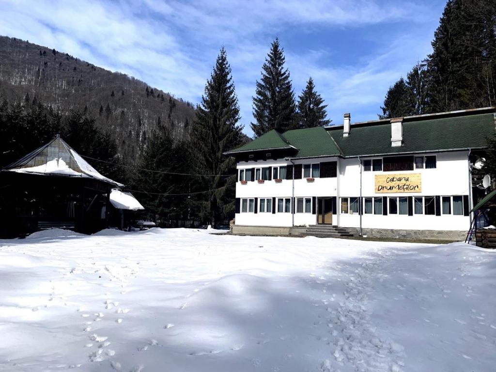 Drumetilor Cabin, Lereşti (updated prices 2026)