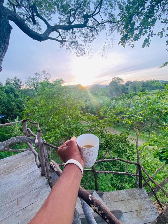 Spring valley farm stay Chalets and a tree house Habessa (ราคาอัปเดตปี ...