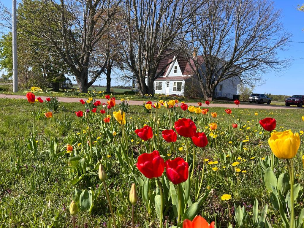 Garden View near Confederation Bridge and Beaches, Borden-Carleton ...