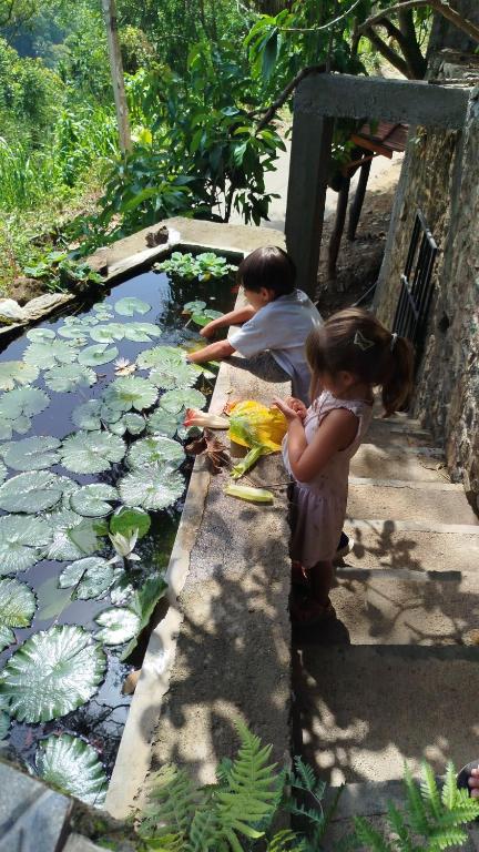 Hiking point Treehouse Ella, אלה (מחירים מעודכנים לשנת 2026)