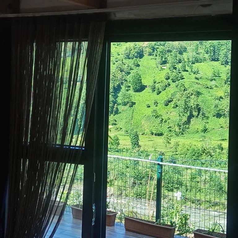 Peaceful wooden house in the heart of nature, Ардешен (актуальные цены ...