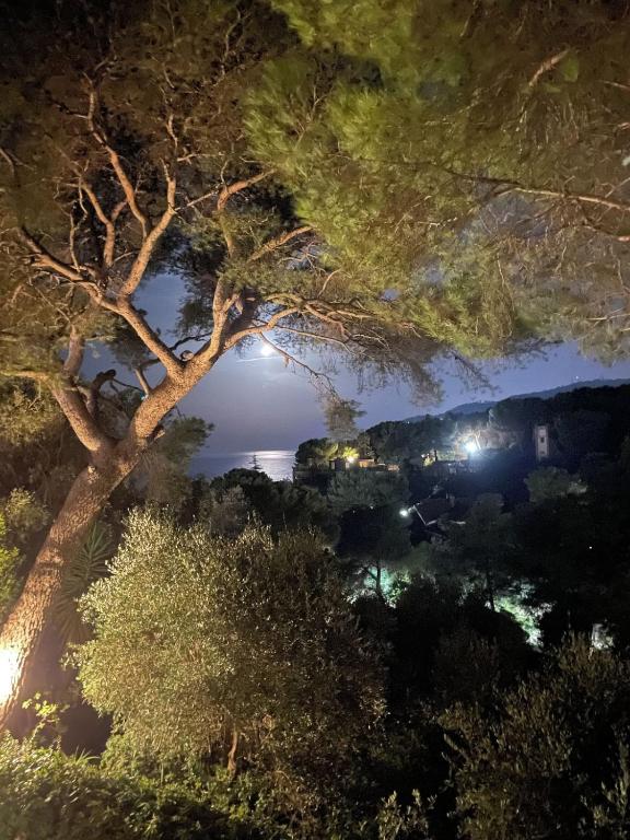 Appartamento in Villa a Pinamare, Marina dʼAndora (tarifs actualisés, 2026)