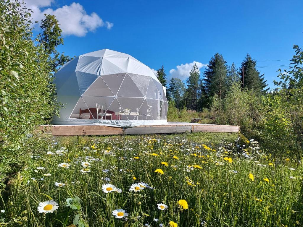 Bubble House glamping telk, Sõmeru (updated prices 2026)