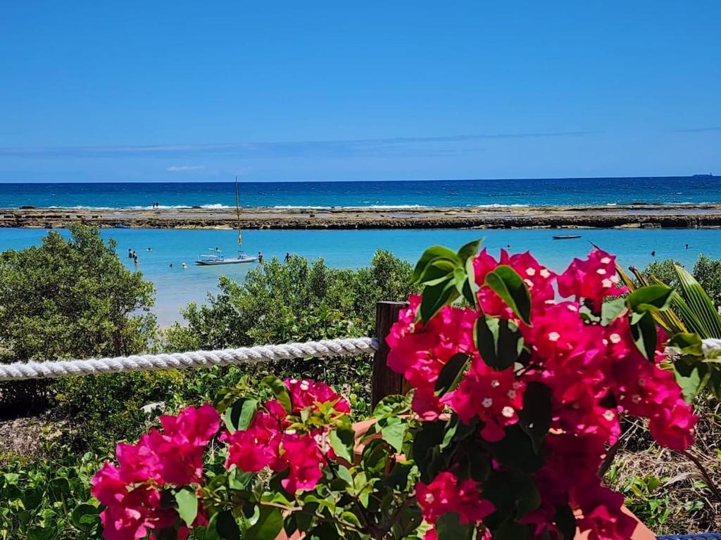 Apto Beira Mar-Muro Alto-Porto de Galinhas-Polin, Porto De Galinhas ...