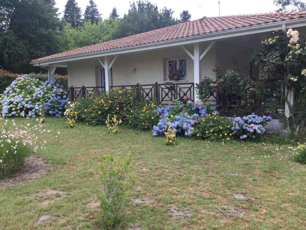 Villa avec grand jardin pour 6 personnes proche lac et océan, Magescq ...