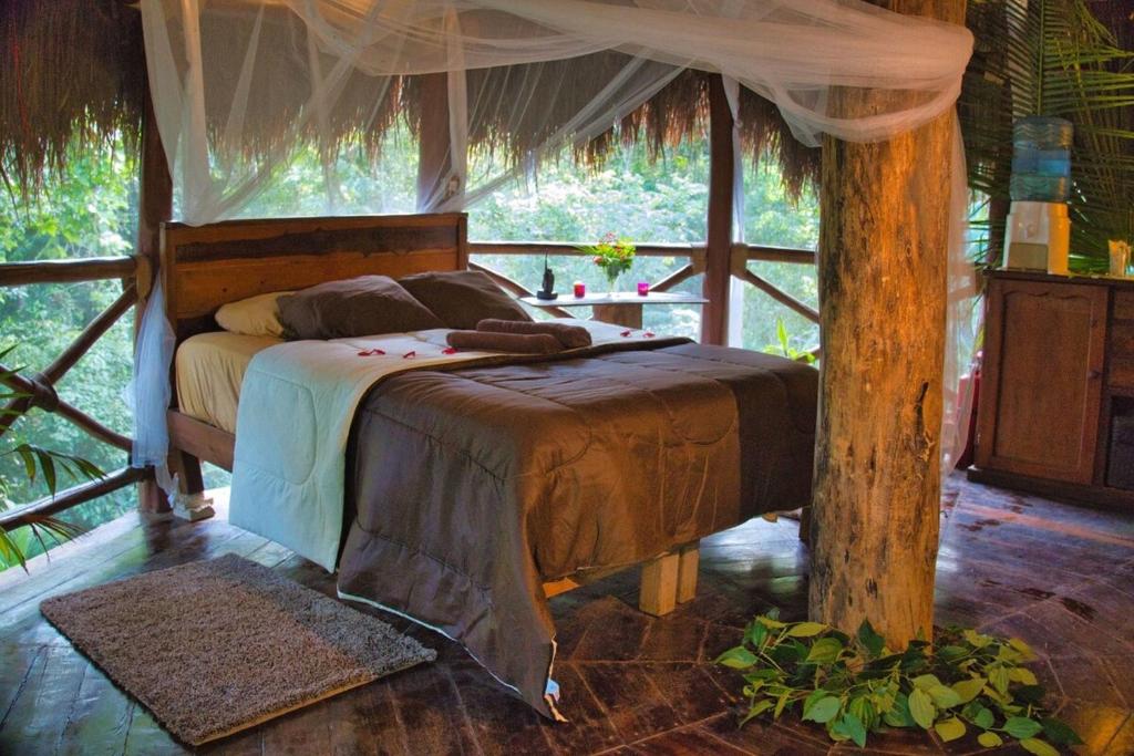 Sweet Jungle Dreams - Exclusive Treehouse and Cenote, Leona Vicario ...