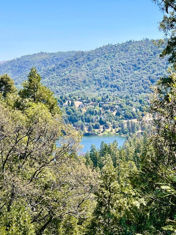 Gorgeous View of Lake, Mountain and Forest, Cabin in Crestline ...