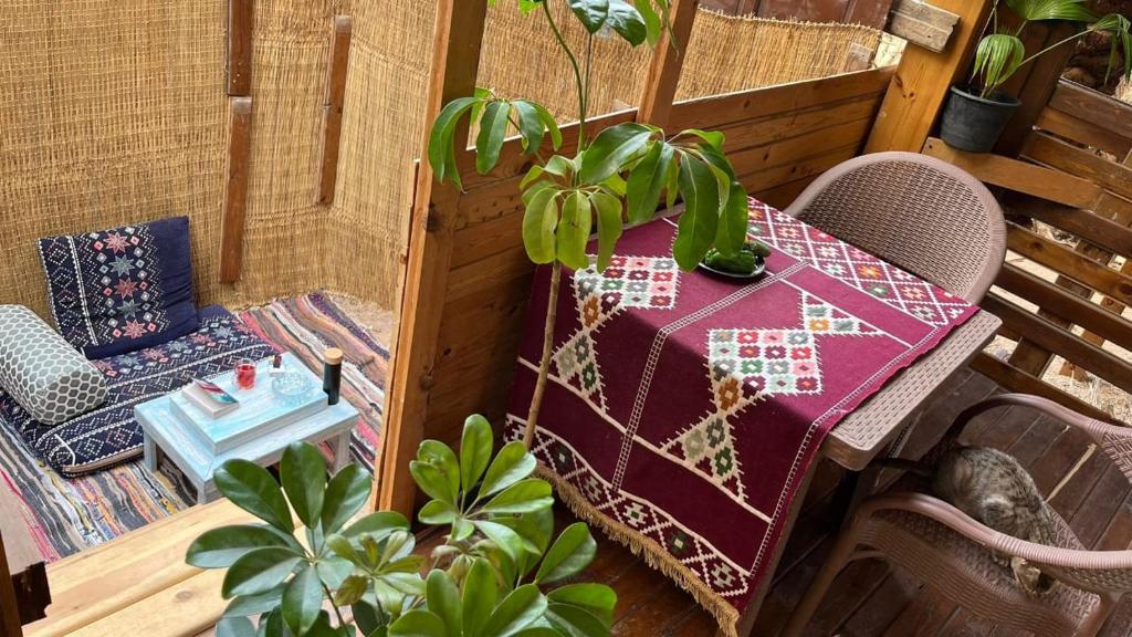 Happy studio, Dahab (precios actualizados 2026)