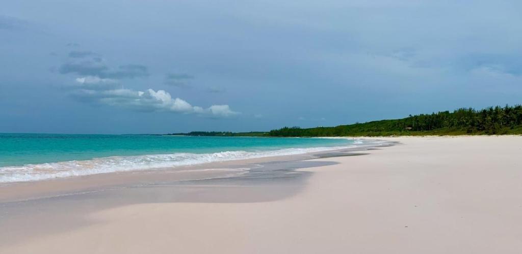 Cayo Loco Studio - Cayo Loco Pink Sand Beachview Studio Villa home, Colebrooke Dale (giá cập ...