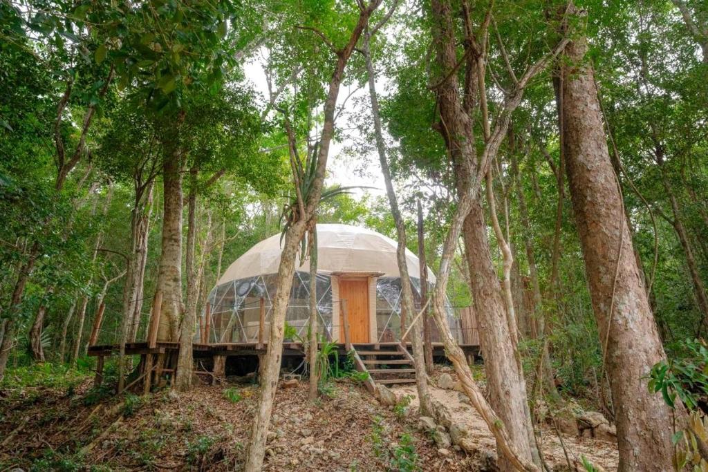 Spectacular Luxury Family Dome with Lofted Interior and Outdoor Bath in ...