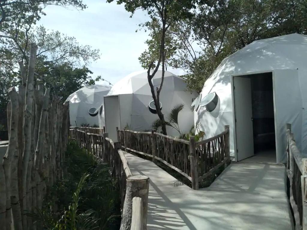 Romantic Dome Rental Perfect for Glamping in Mexico, 툴룸 (2025년 최신 요금)