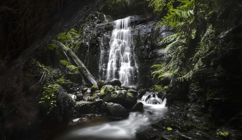 Cottage with private Rainforest and Waterfalls in Tanybryn, Victoria ...