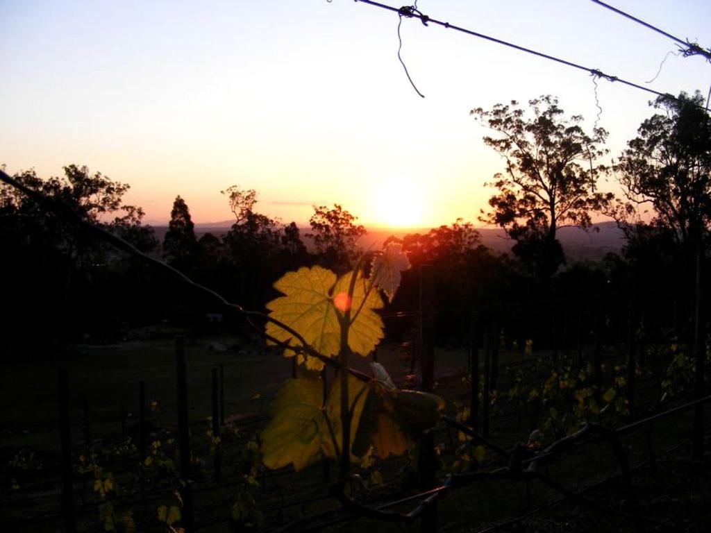 Gorgeous Accommodation with Sublime Views in the Gold Coast Hinterland ...