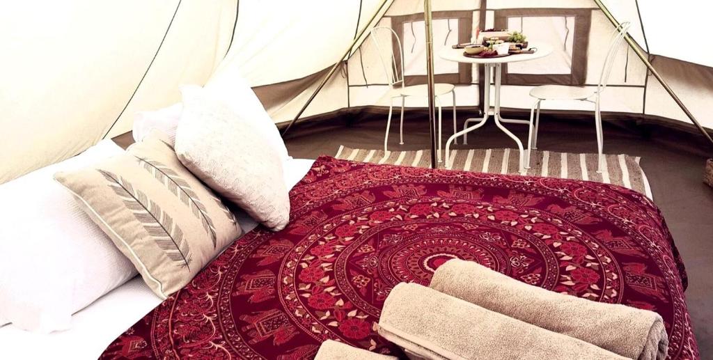 Stunning Lincoln National Park Tent for Glamping in South Australia ...