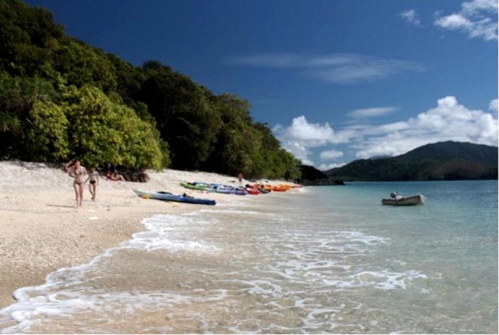 Private Tented Cabin in the Heart of the Rainforest, Australia, Cow Bay ...