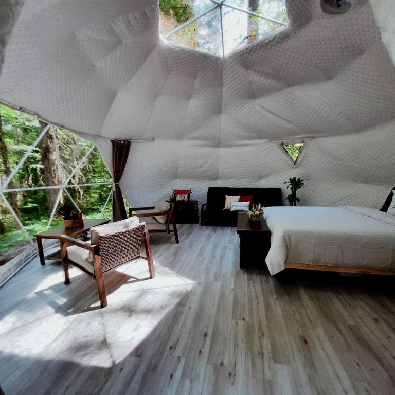 Fantastic Dome Nestled Amidst Trees and Barbecue Provided in Petawawa, Ontario, Deep River ...