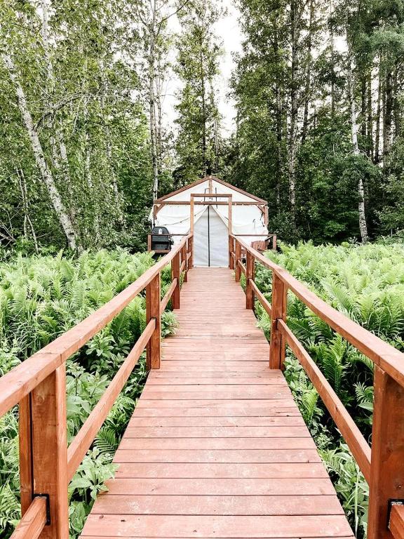 Relaxing Glamping Tents Amazing for an Unforgettable Experience in New ...