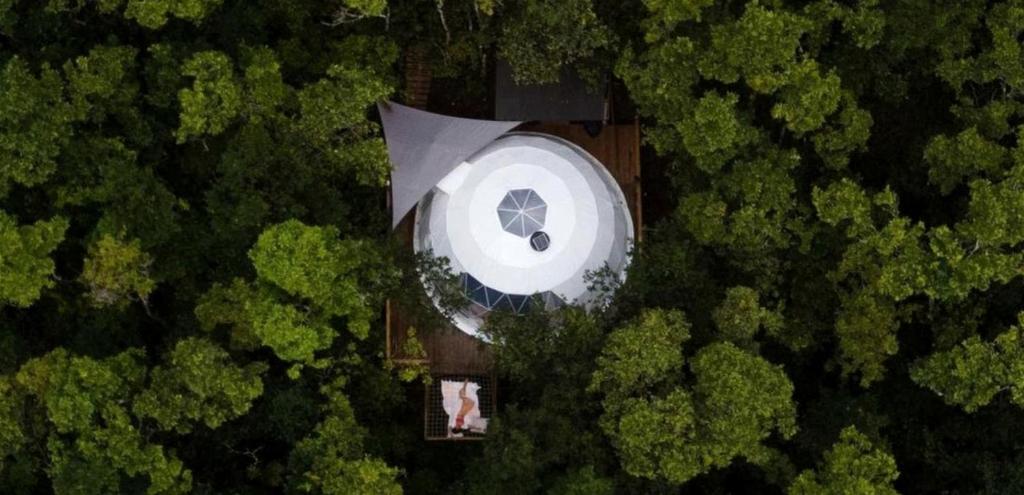 Cozy Modern Dome Nestled in the Trees in Maynooth, Ontario, Maynooth ...