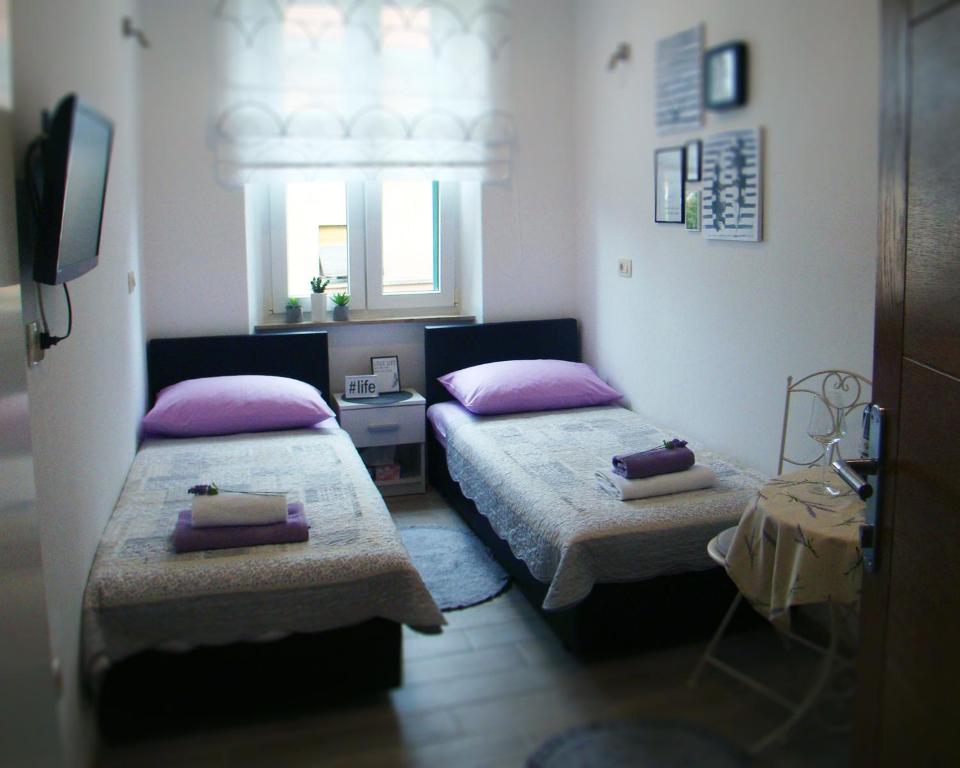 Hoc Loco Split, Split (updated prices 2025)