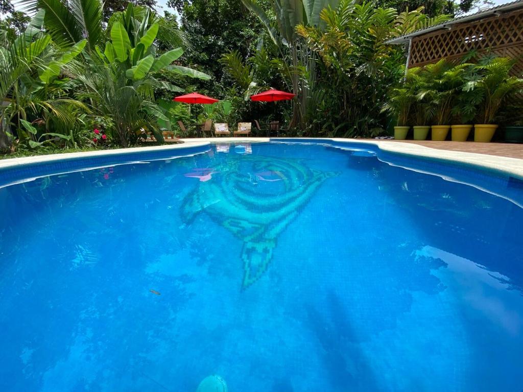 7 bedrooms with pools, jungle around and 200 meters to the beach ...