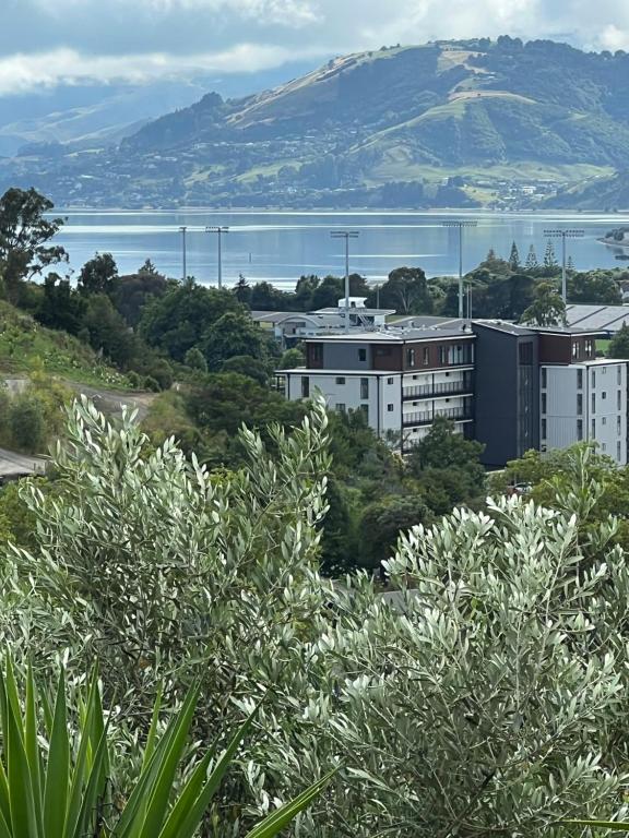 Sunny hillside central Nelson hideaway with city to sea views, Nelson ...