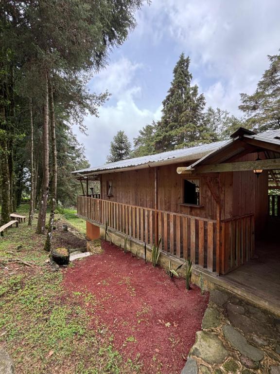 Cabaña El Remanso, Petapan (updated prices 2025)