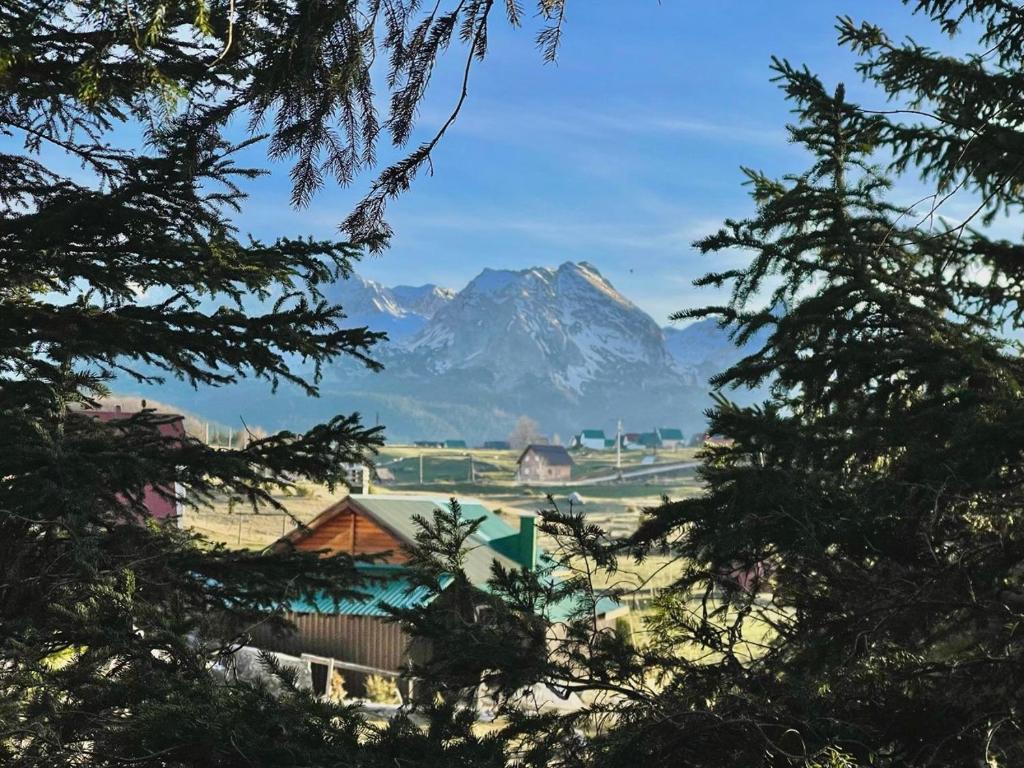 PinePano Lodges, Žabljak (updated prices 2025)