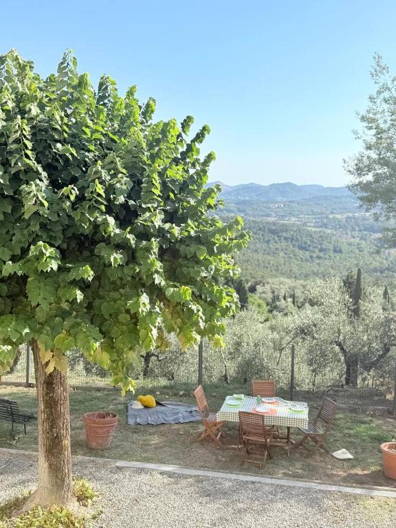 Il nido fra gli ulivi, relax in collina con A-C, Lukka (aktualne ceny ...