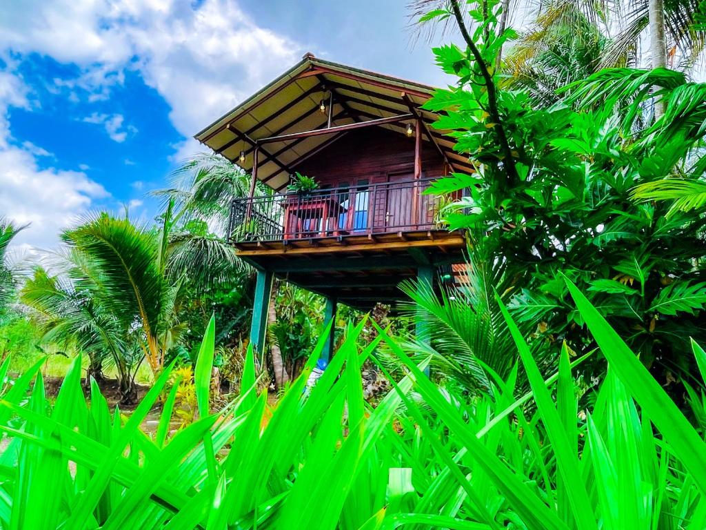 Sigiri Sandilu Homestay, Sigiriya (updated prices 2026)