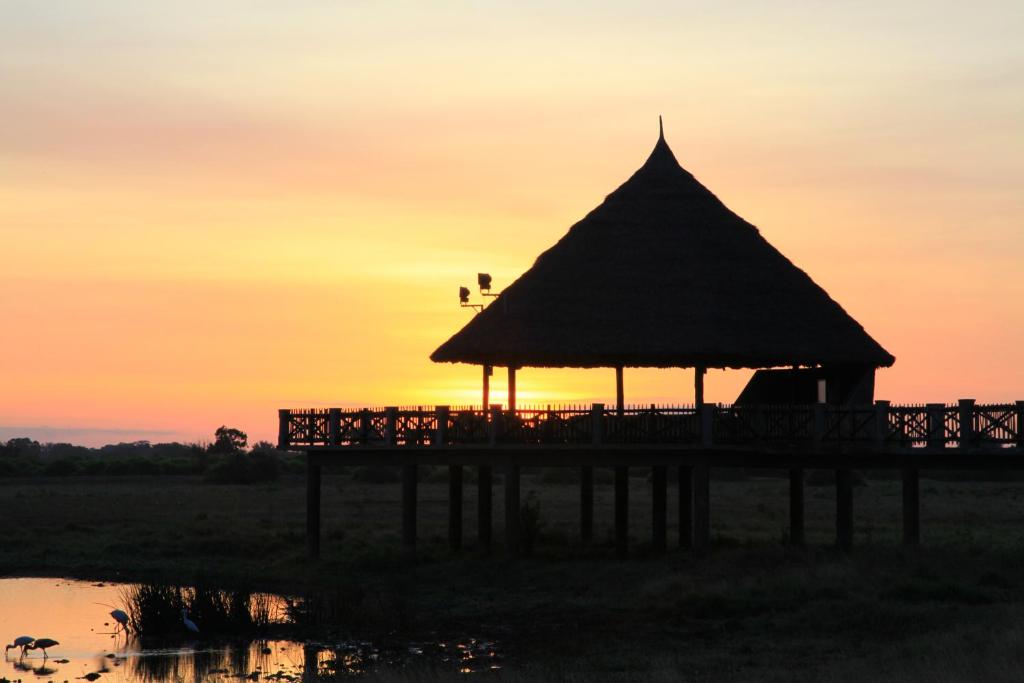 Voi Wildlife Lodge, Voi (updated prices 2026)