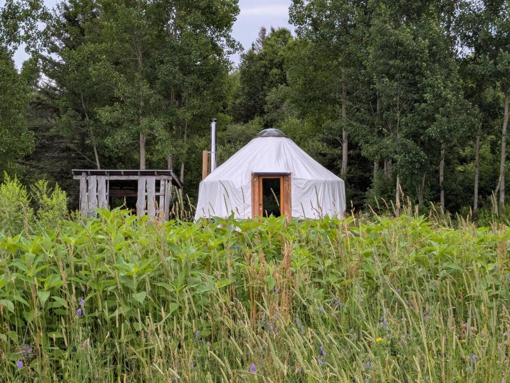 Cozy Yurt on a Heritage Farm with Trails, Pond, and Sauna, Powassan ...
