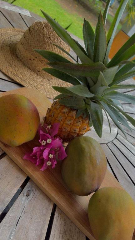 Ti’Bou des Îles de Guadeloupe, Le Moule (aktualisierte Preise für 2025)