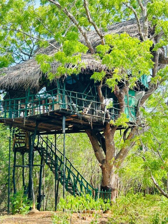Yala Beddegama Eco, Kataragama (updated prices 2026)