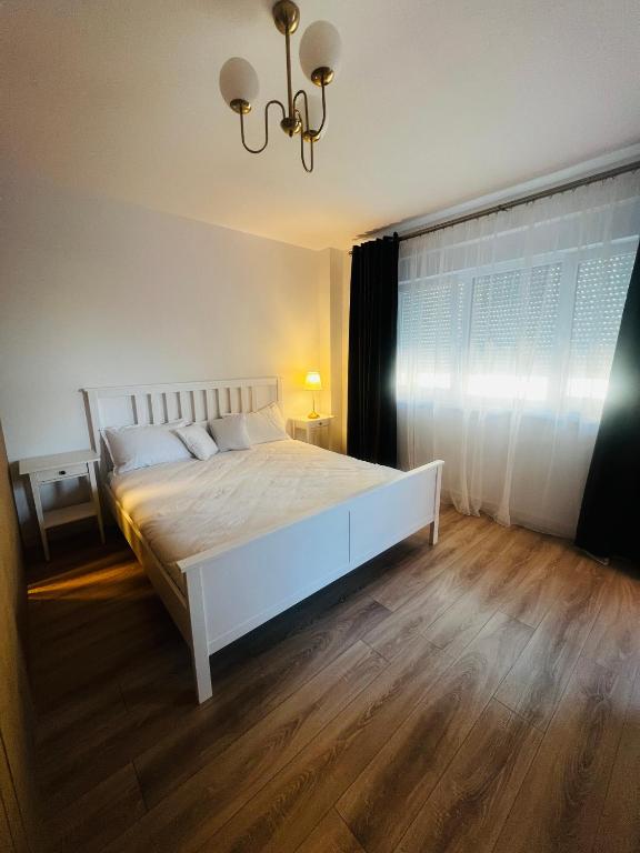 AAS Vibe, Alba Iulia (preços atualizados para 2026)