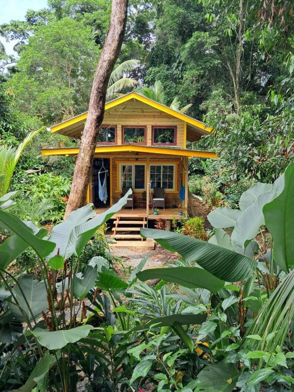 Cabaña Piña, Bocas del Toro (updated prices 2026)
